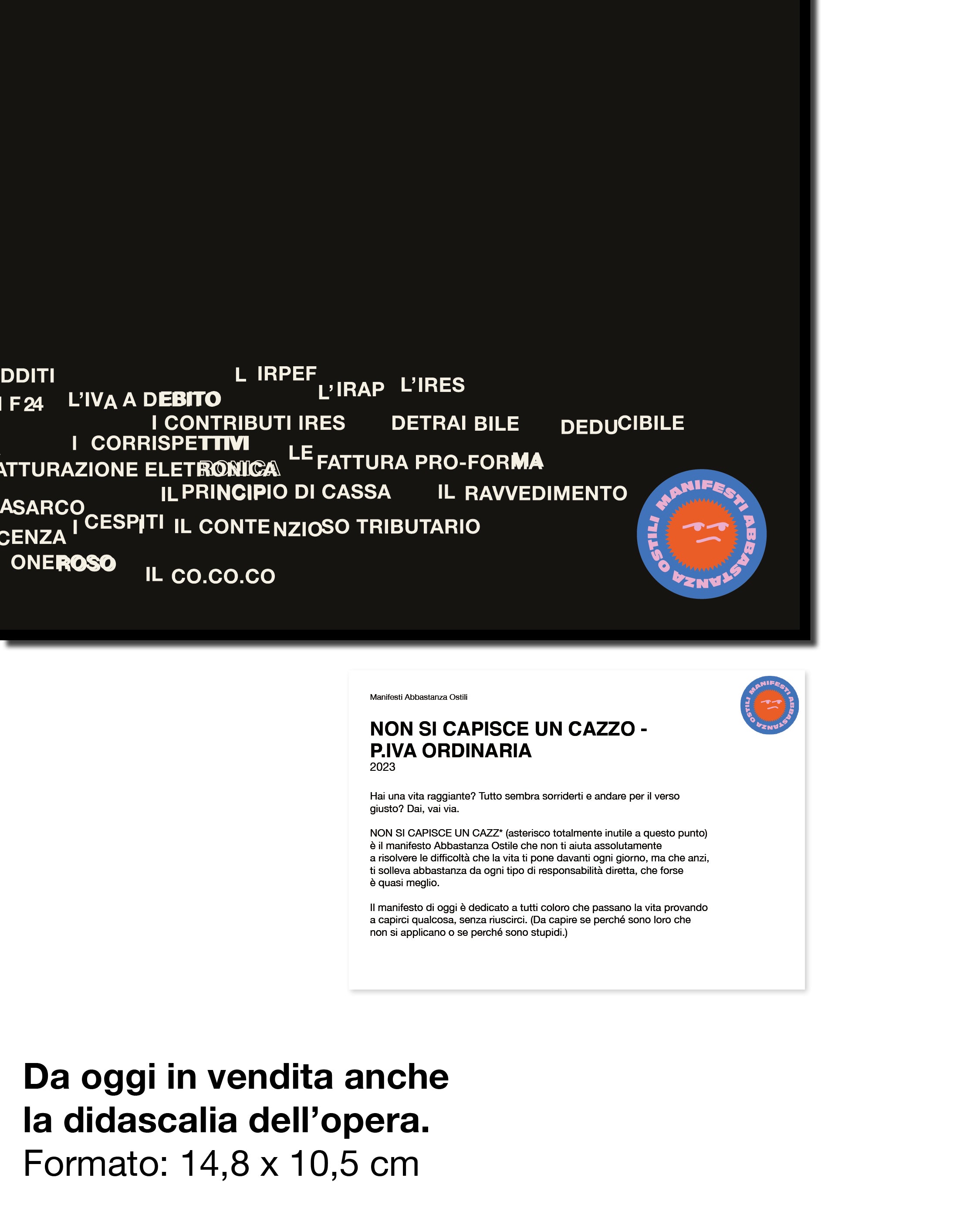Non si capisce un cazzo - P.IVA ORDINARIA – Manifesti Abbastanza Ostili